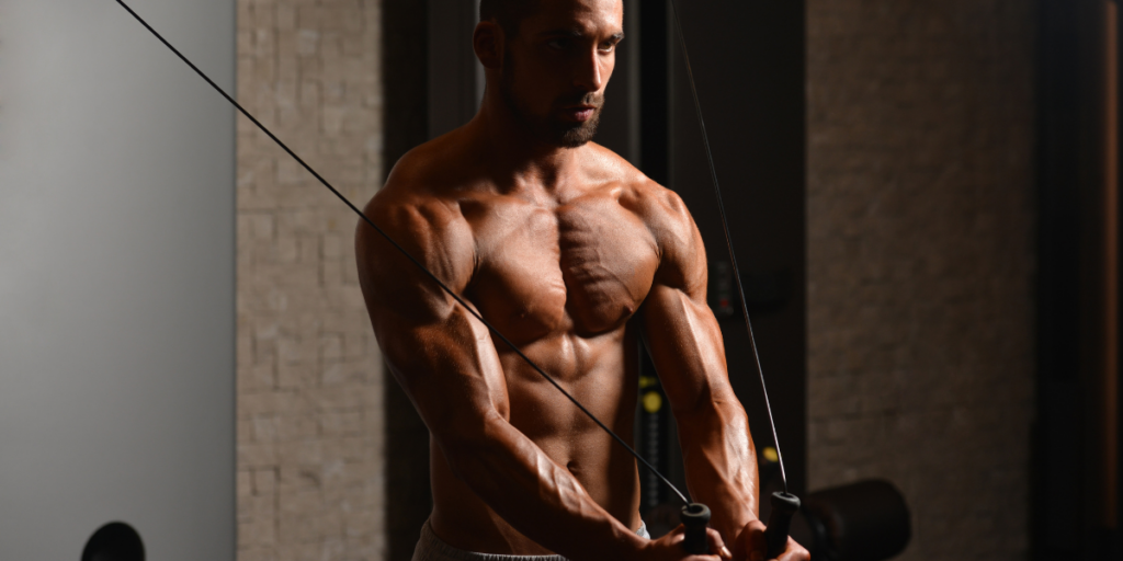 Build a Stronger Chest with Cables - Sheru Classic world