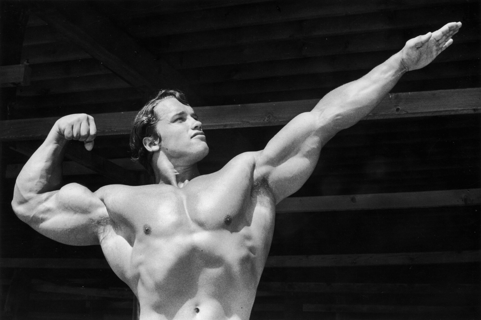 The Biggest Bodybuilders You Need to Know - Sheru Classic world