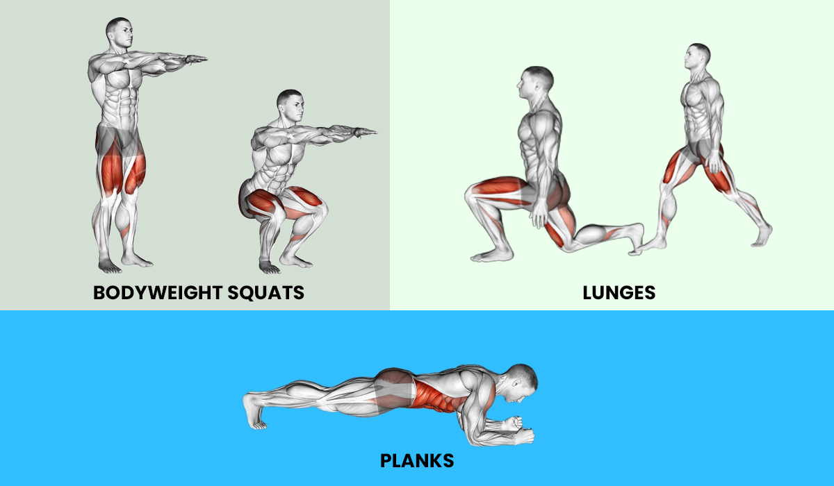 Bodyweight Exercises at Home: The Complete Guide to Fitness Without ...